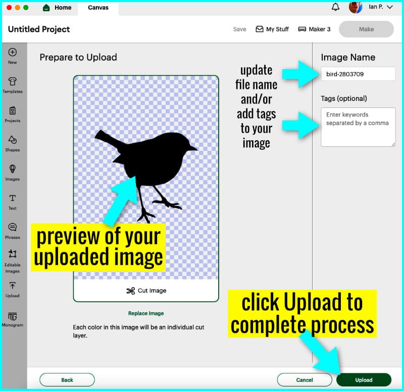 How to Upload Images and SVGs to Cricut Design Space - Snip to It!